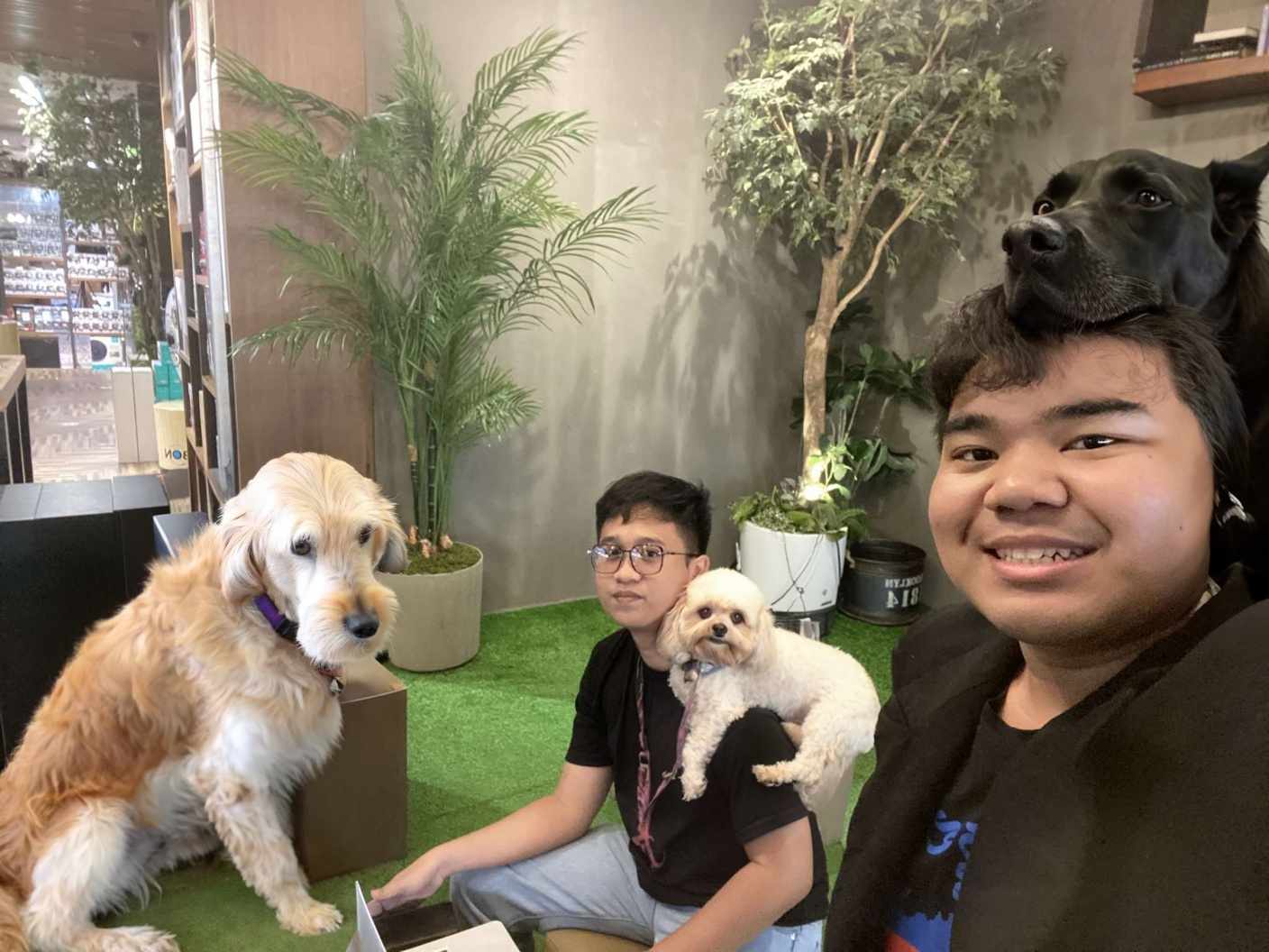 PetMalu Pet Grooming